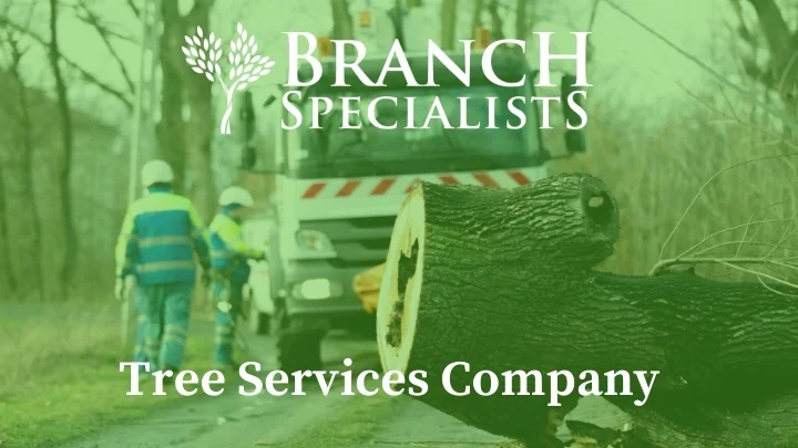 PPT - Tree Services Company PowerPoint Presentation, free download - ID ...