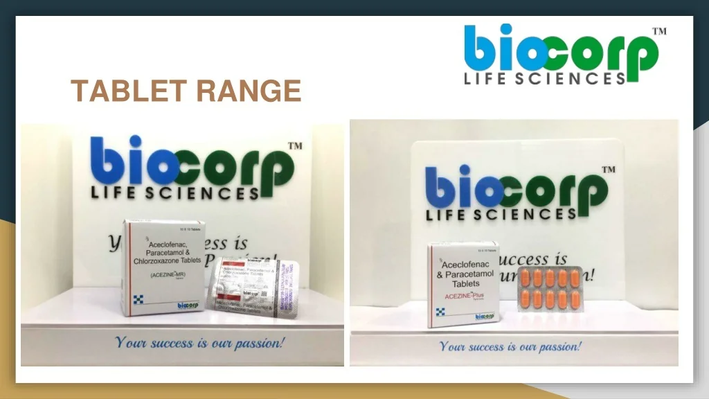 PPT - ALLOPATHIC MEDICINE FRANCHISE IN CHANDIGARH PowerPoint ...