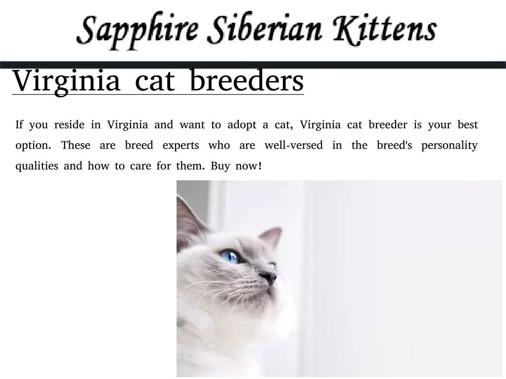 PPT - Virginia cat breeders PowerPoint Presentation, free download - ID ...