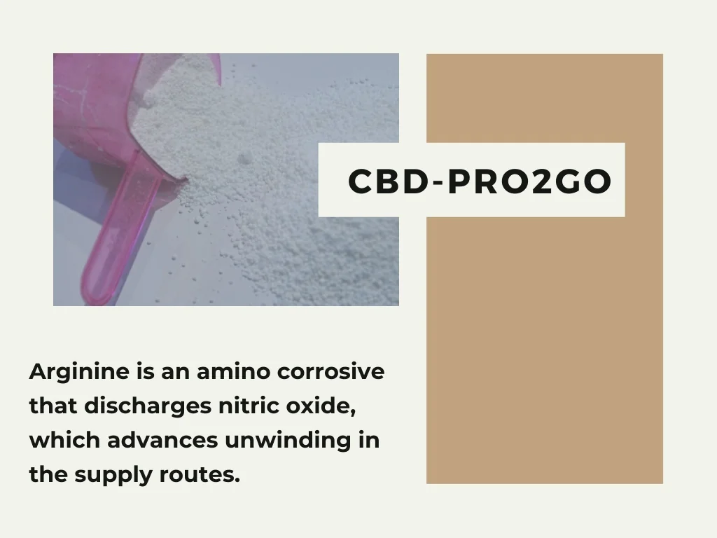 PPT - CBD-PRO2GO- Why is CBD Protein Powder Essential for Your Diet ...