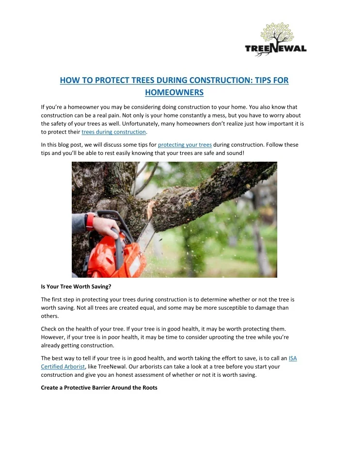 PPT - HOW TO PROTECT TREES DURING CONSTRUCTION TIPS FOR HOMEOWNERS ...