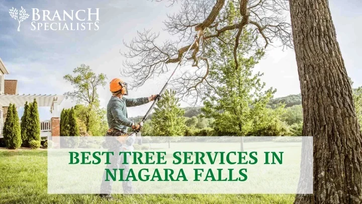 PPT - Best Tree Services in Niagara falls PowerPoint Presentation, free ...