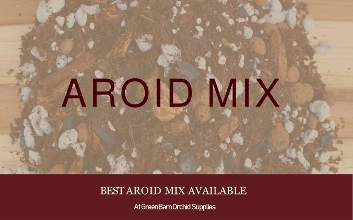 PPT - Best Aroid Mix available at Green Barn Orchid Supplies ...