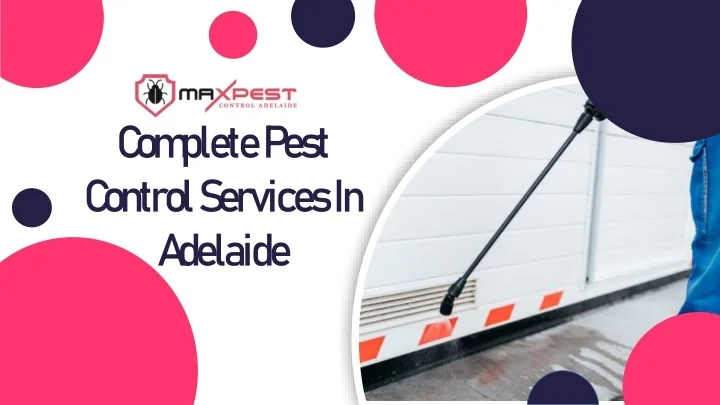 PPT - Max Pest Control Adelaide a Leading Provider of Pest Control ...