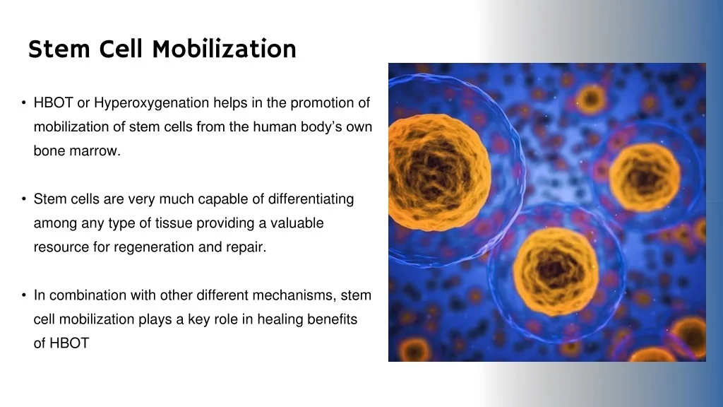 PPT - 5 Benefits Of Oxygen Therapy PPT PowerPoint Presentation, free ...