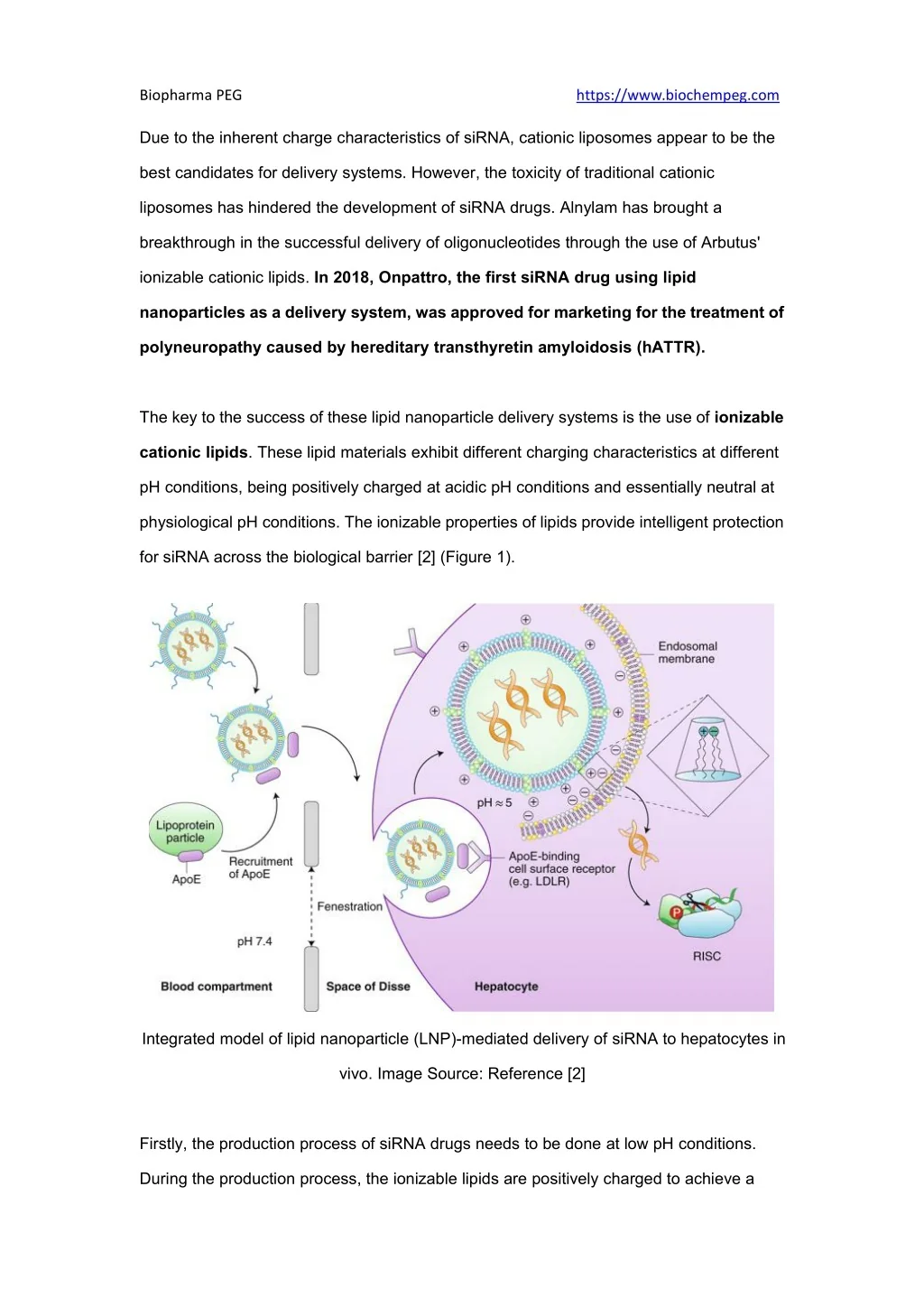 PPT - Intelligent Delivery of Oligonucleotide Drugs PowerPoint ...