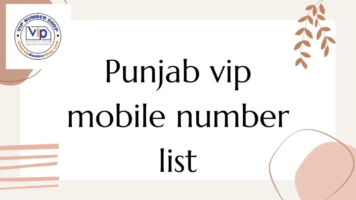 PPT - Punjab vip mobile number list PowerPoint Presentation, free ...