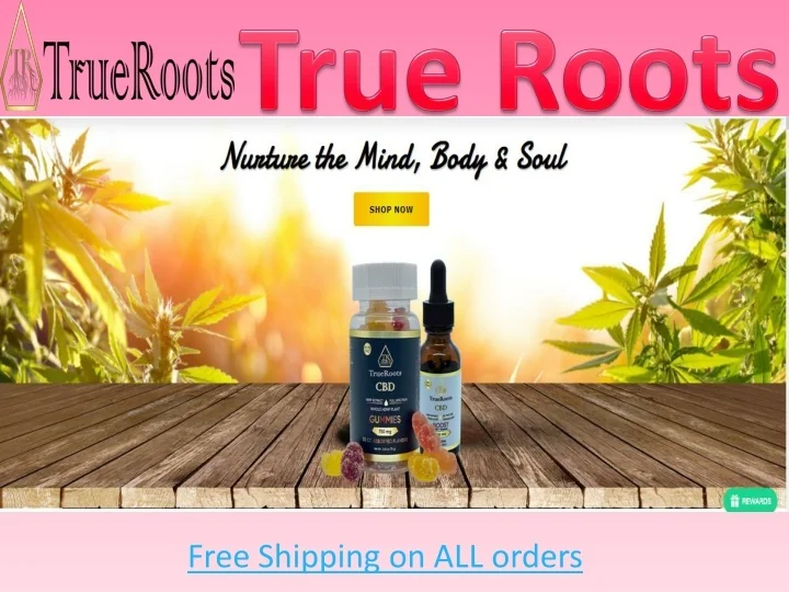 PPT - True roots PowerPoint Presentation, free download - ID:11271976