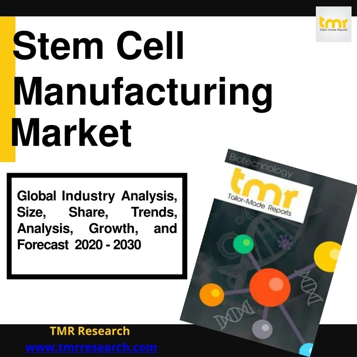 PPT - Stem Cell Manufacturing : Gaining Immense Impetus PowerPoint ...