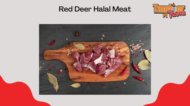PPT - Red Deer Halal Meat PowerPoint Presentation, free download - ID ...