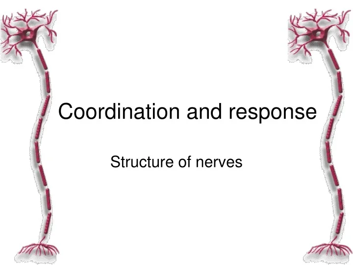 PPT - The Nervous System (part 2): Nerve structure PowerPoint ...