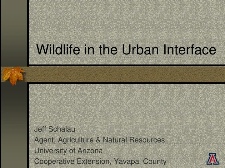 PPT - Wildlife in the Urban Interface PowerPoint Presentation, free ...