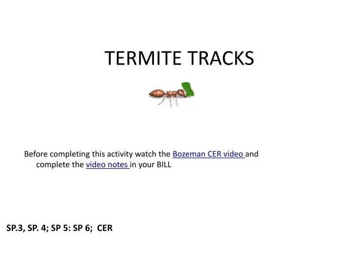 PPT - TERMITE TRACKS PowerPoint Presentation, free download - ID:9269223