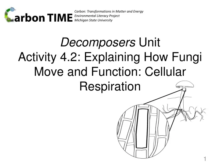 PPT - Decomposers Unit Activity 4.2: Explaining How Fungi Move and ...