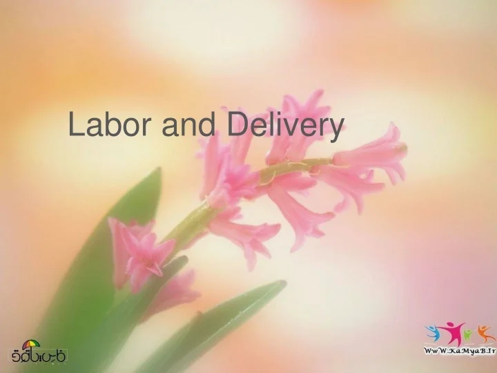 PPT - Labor and Delivery PowerPoint Presentation, free download - ID ...