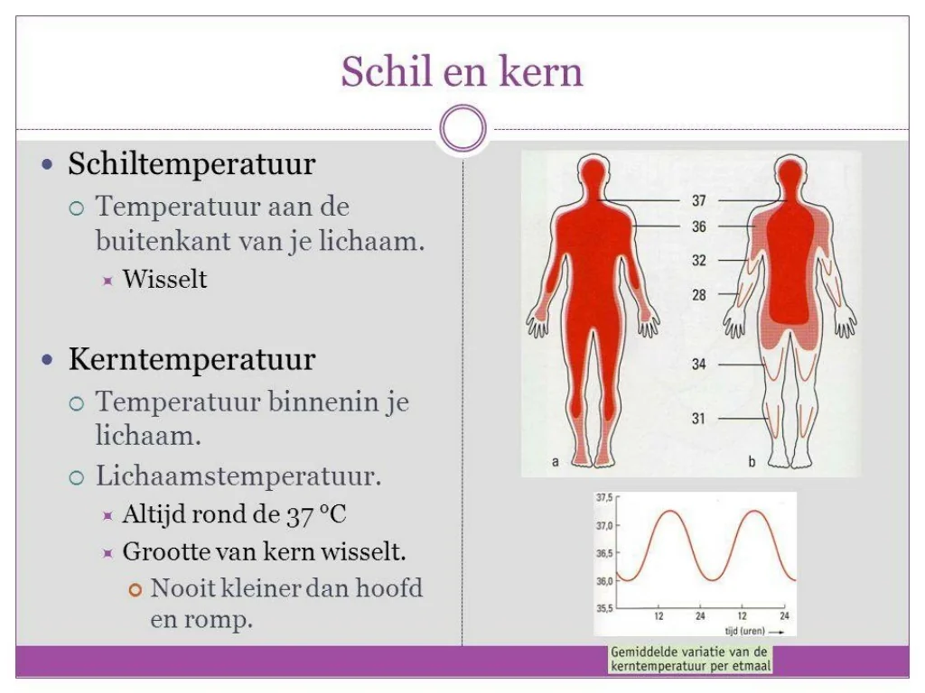PPT Lichaamstemperatuur PowerPoint Presentation Free Download ID PPT Lichaamstemperatuur PowerPoint Presentation Free Download ID