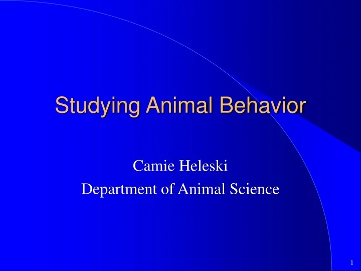 PPT - Studying Animal Behavior PowerPoint Presentation, free download ...
