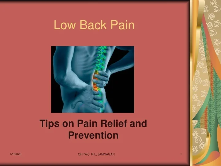 PPT - Low Back Pain PowerPoint Presentation, free download - ID:9284343