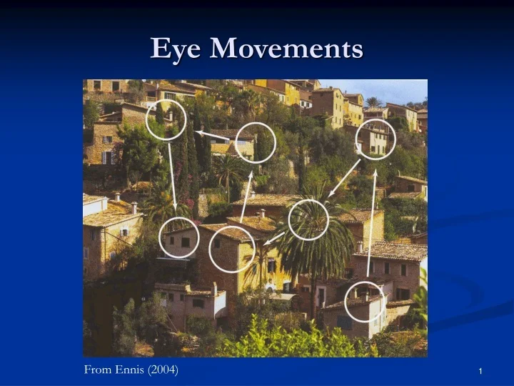 PPT - Eye Movements PowerPoint Presentation, free download - ID:9286034
