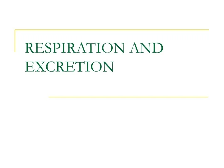 PPT - RESPIRATION AND EXCRETION PowerPoint Presentation, free download ...
