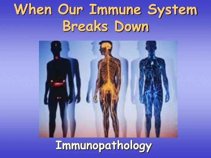 PPT - When Our Immune System Breaks Down PowerPoint Presentation, free ...