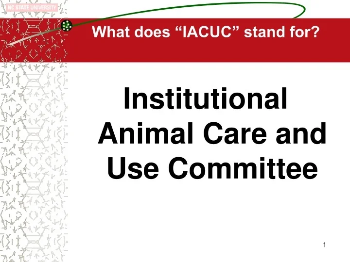 PPT - What does “IACUC” stand for? PowerPoint Presentation, free ...