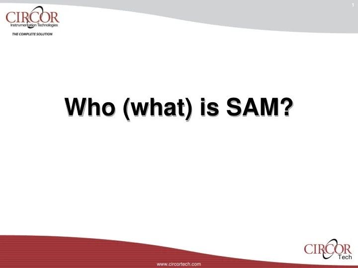 PPT - Who (what) is SAM? PowerPoint Presentation, free download - ID ...