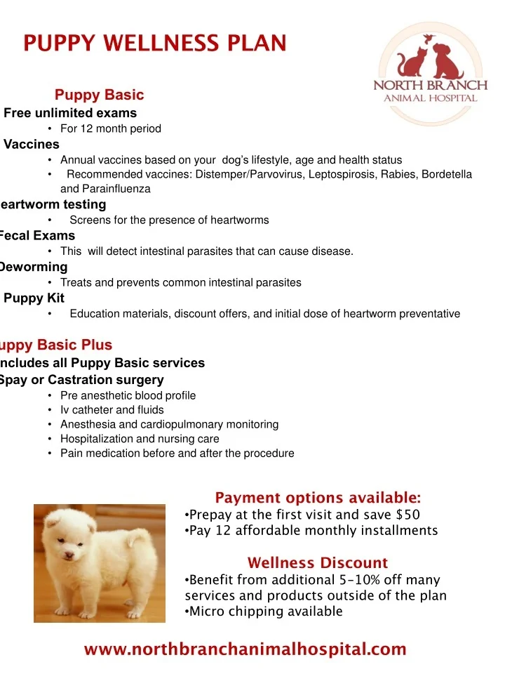 PPT - PUPPY WELLNESS PLAN PowerPoint Presentation, free download - ID ...