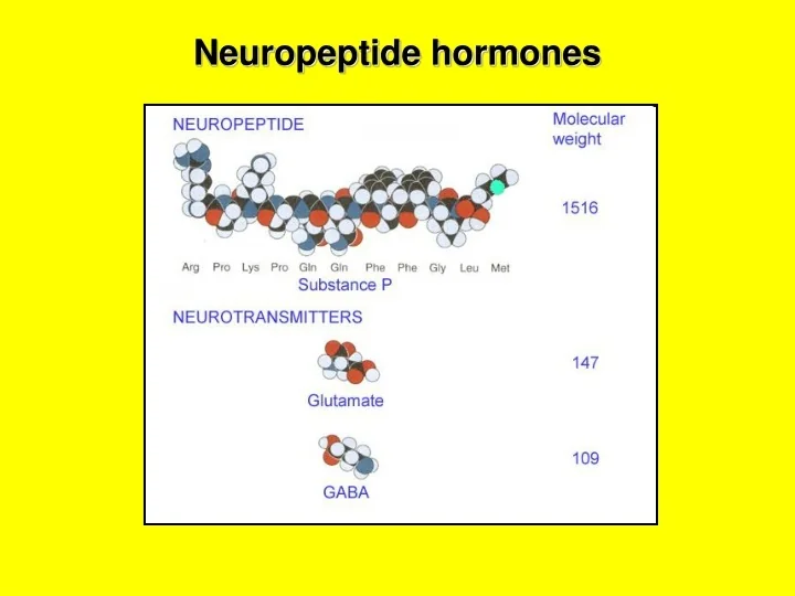 PPT - Neuropeptide hormones PowerPoint Presentation, free download - ID ...