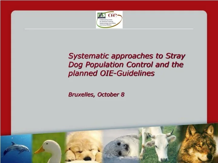 PPT - The current world population of domestic dogs is estimated as 500 ...