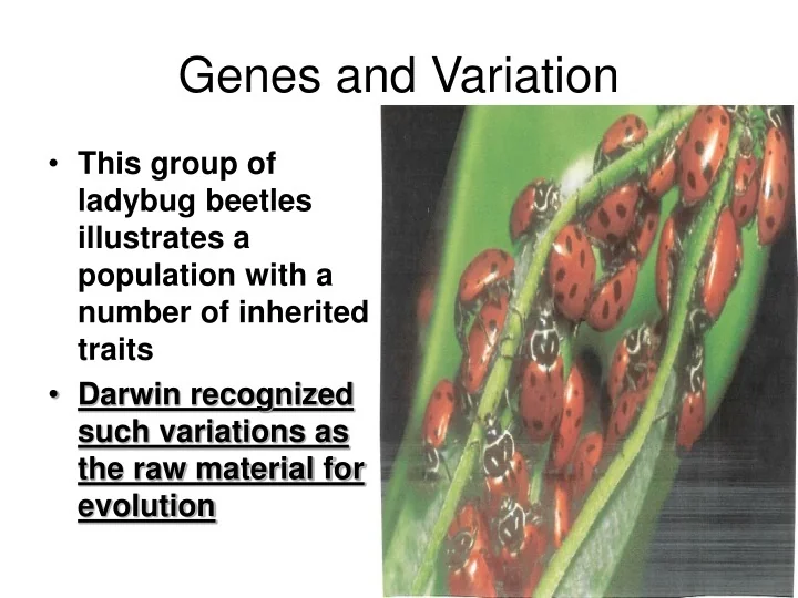 PPT - Genes and Variation PowerPoint Presentation, free download - ID ...