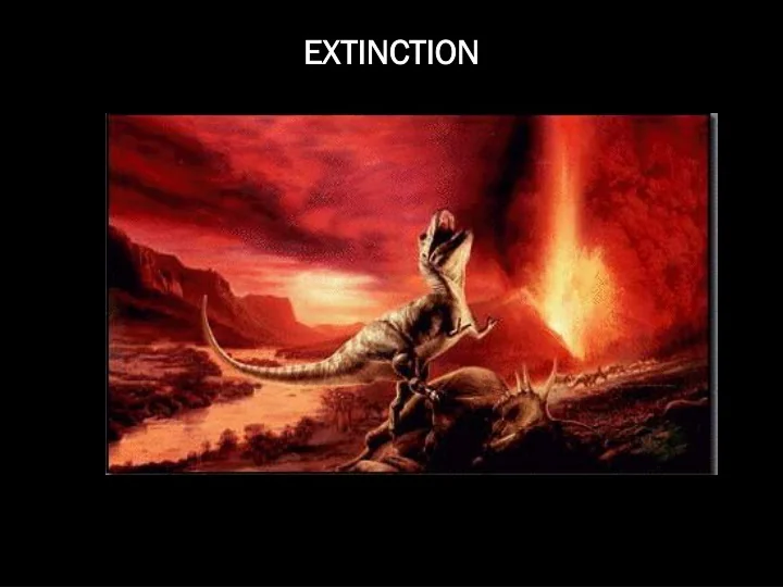 PPT - EXTINCTION PowerPoint Presentation, free download - ID:9309429