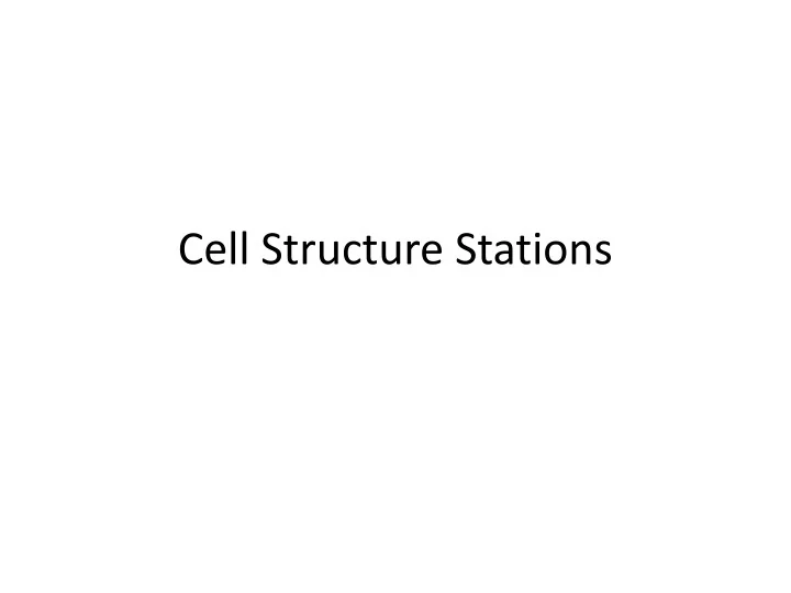 PPT - Cell Structure Stations PowerPoint Presentation, free download ...