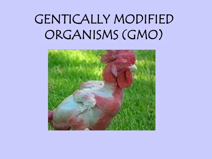 PPT - GENTICALLY MODIFIED ORGANISMS (GMO) PowerPoint Presentation, free ...