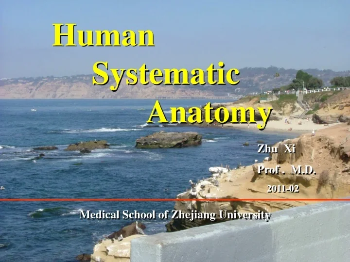 PPT - Human Systematic Anatomy PowerPoint Presentation - ID:9312029