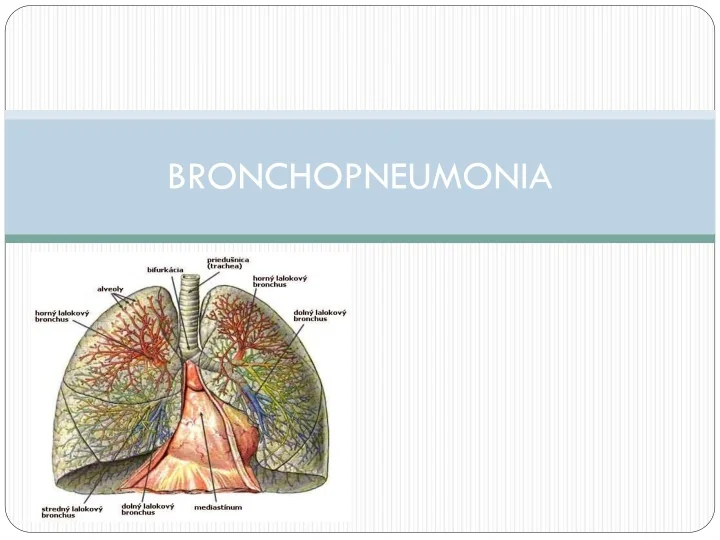 PPT - BRONCHOPNEUMONIA PowerPoint Presentation, free download - ID:9312668