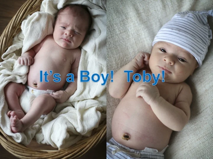 PPT - It’s a Boy! Toby! PowerPoint Presentation, free download - ID:9314273