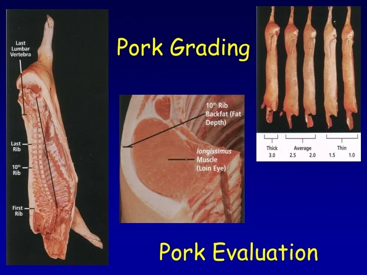 PPT - Pork Grading PowerPoint Presentation, free download - ID:9317122