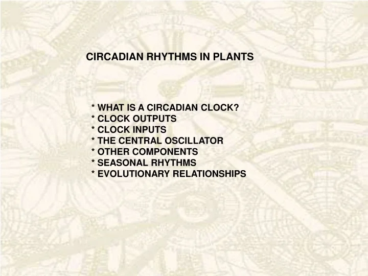 PPT - CIRCADIAN RHYTHMS IN PLANTS PowerPoint Presentation, free ...