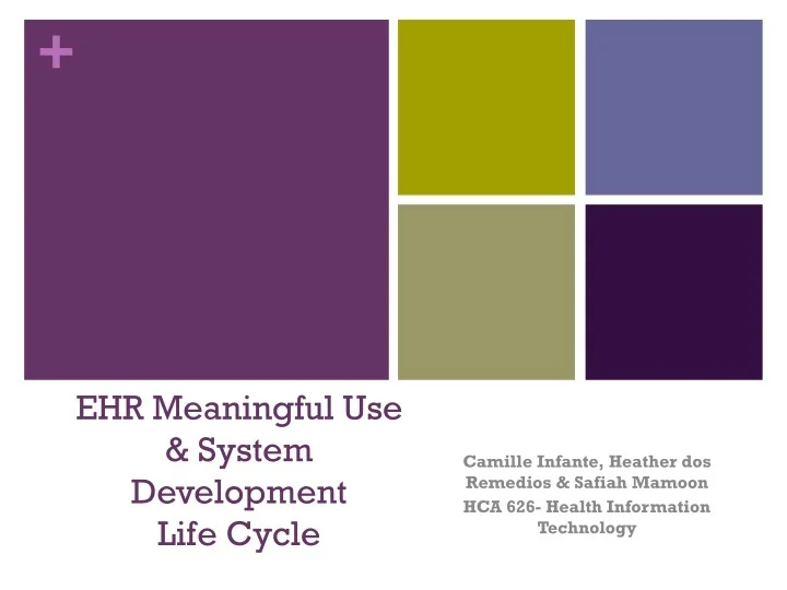 PPT - EHR Meaningful Use & System Development Life Cycle PowerPoint ...