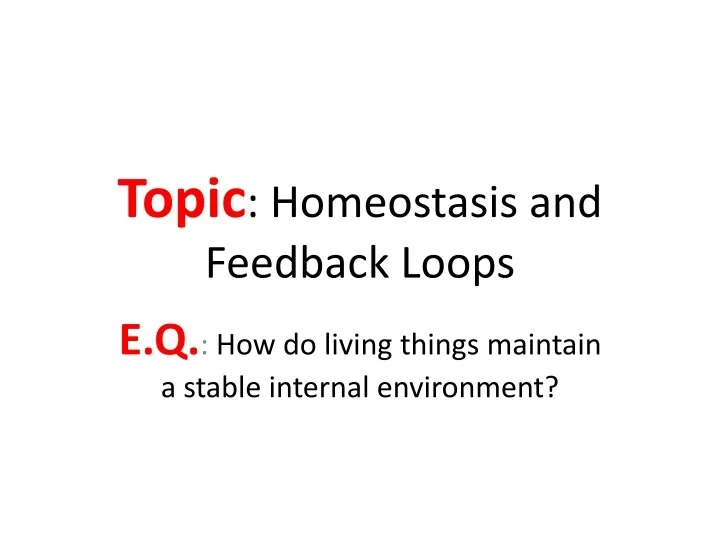 PPT - Topic : Homeostasis and Feedback Loops PowerPoint Presentation ...