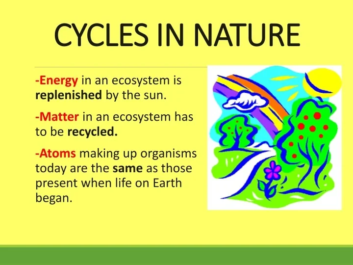 PPT - CYCLES IN NATURE PowerPoint Presentation, free download - ID:9323309