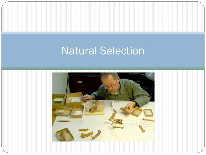 PPT - Natural Selection PowerPoint Presentation, free download - ID:9324251