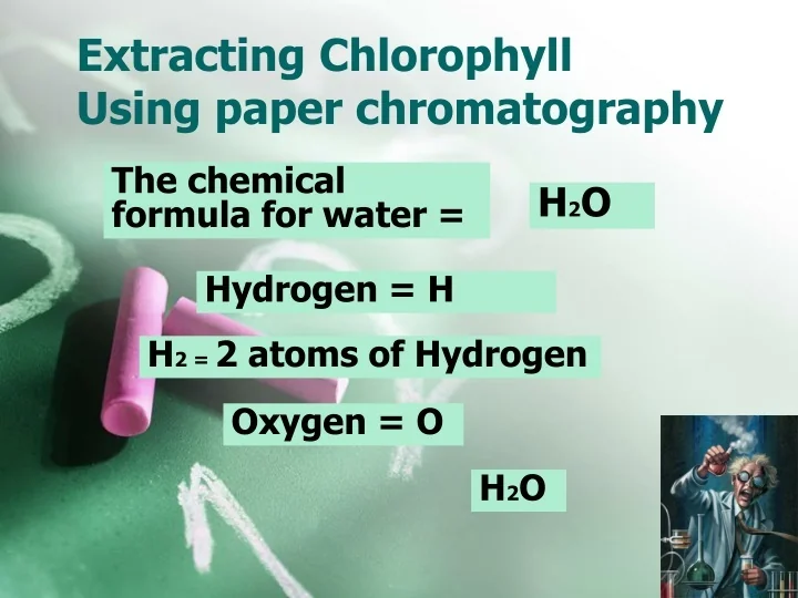 PPT - Extracting Chlorophyll Using paper chromatography PowerPoint ...