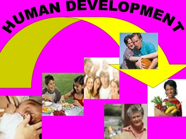 PPT - HUMAN DEVELOPMENT PowerPoint Presentation, free download - ID:9331861