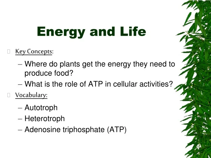 PPT - Energy and Life PowerPoint Presentation, free download - ID:9333804