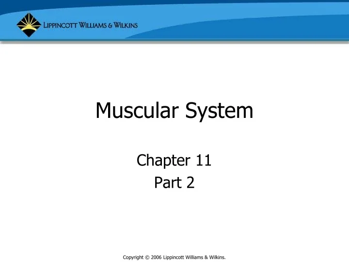 PPT - Muscular System PowerPoint Presentation, free download - ID:9336318