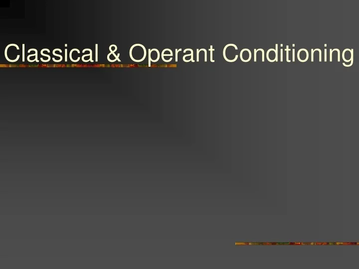 PPT - Classical & Operant Conditioning PowerPoint Presentation, free download - ID:9337359