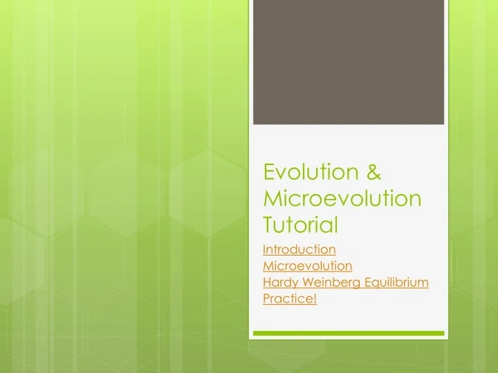 PPT - Evolution & Microevolution Tutorial PowerPoint Presentation, free ...