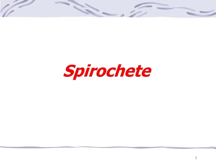 PPT - Spirochete PowerPoint Presentation, free download - ID:9338038